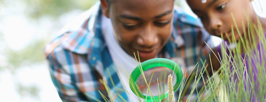 Back to School: Fun Pest Education Activities for Kids