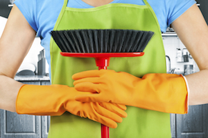 Spring Cleaning Tips to Keep Pests Out of Your Home by NPMA