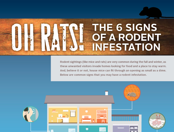 Rodent Signs - NPMA Infographics