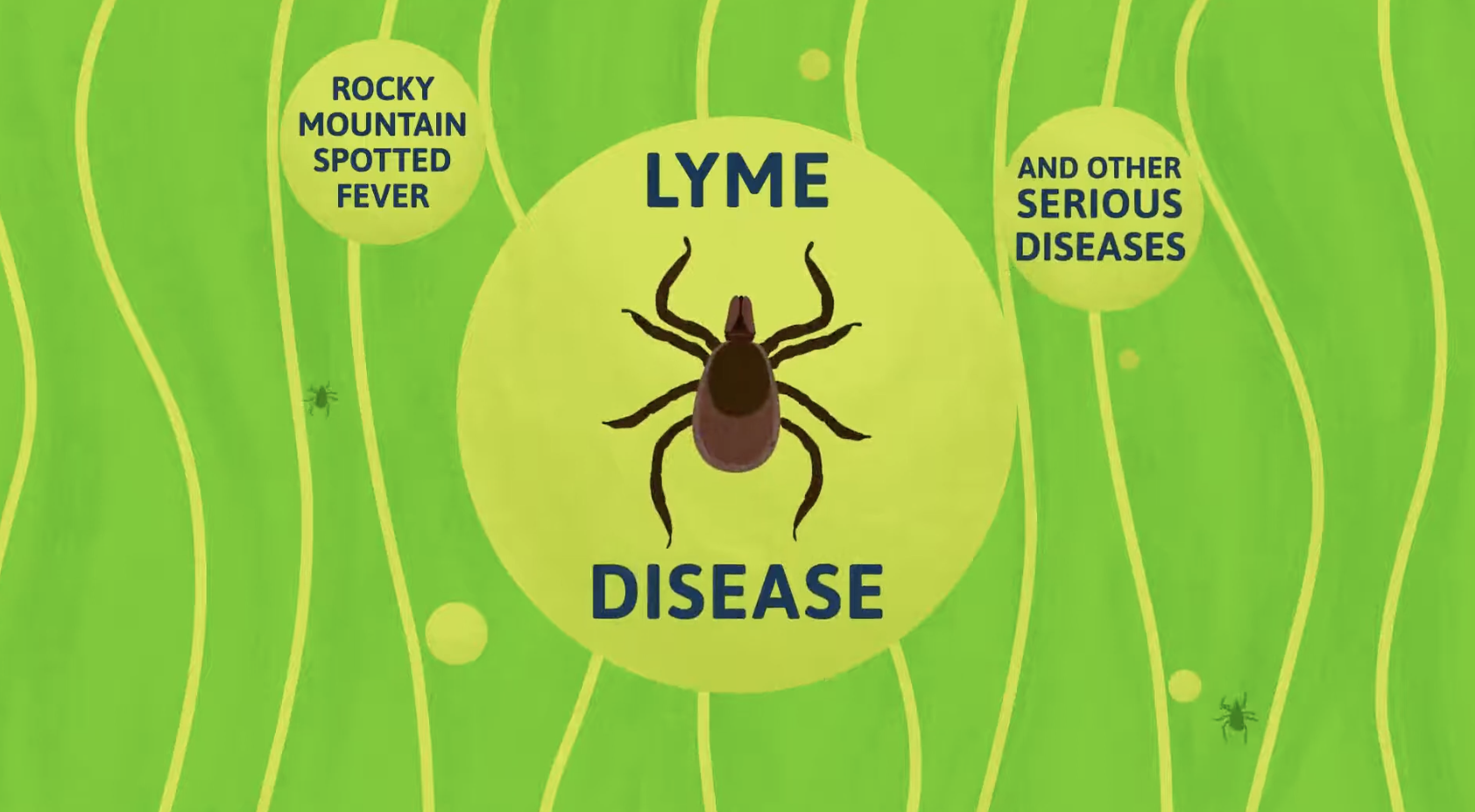 Health Threats PSA: How Pests Put Public Health at Risk Health Threats PSA: How Pests Put Public Health at Risk