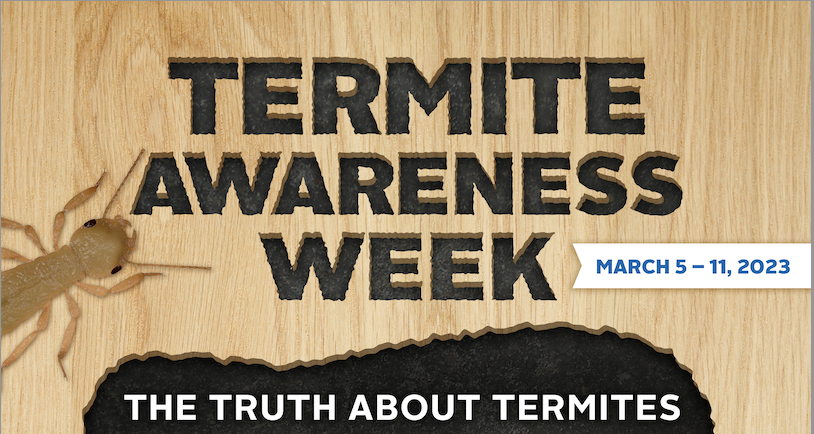 Termite Awareness Week - 2023